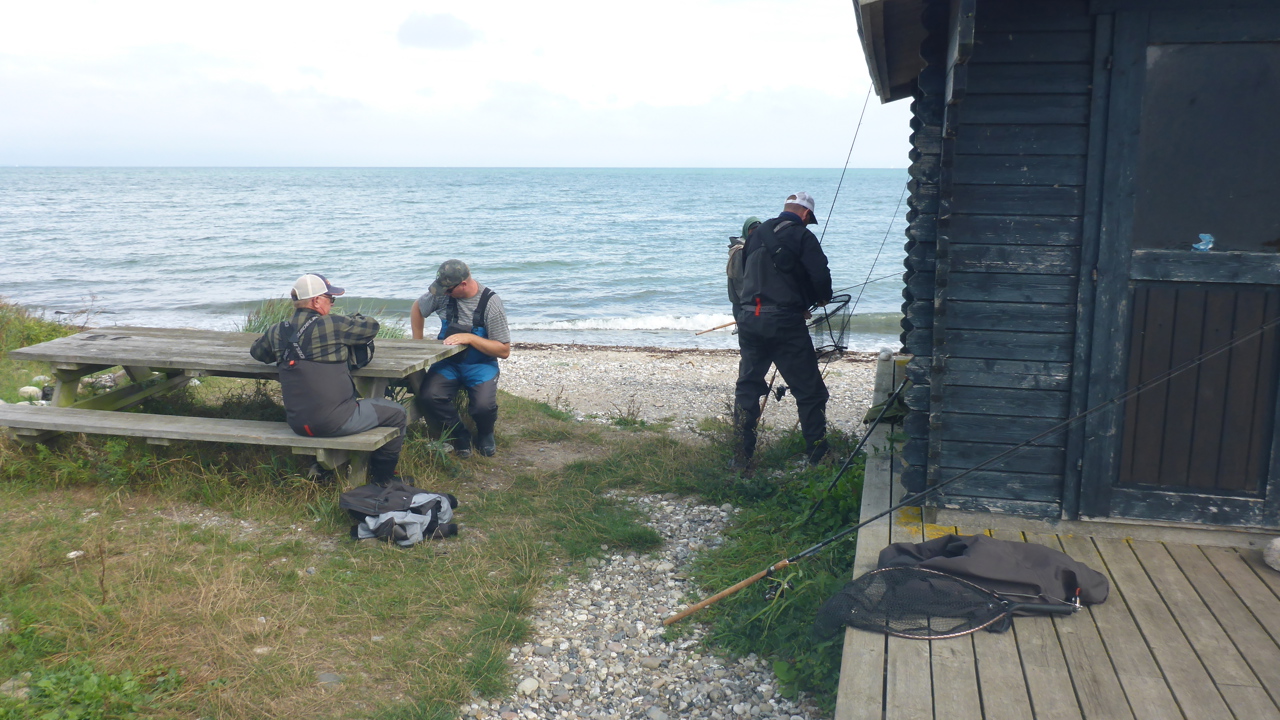 Tur til Egebjerggaard