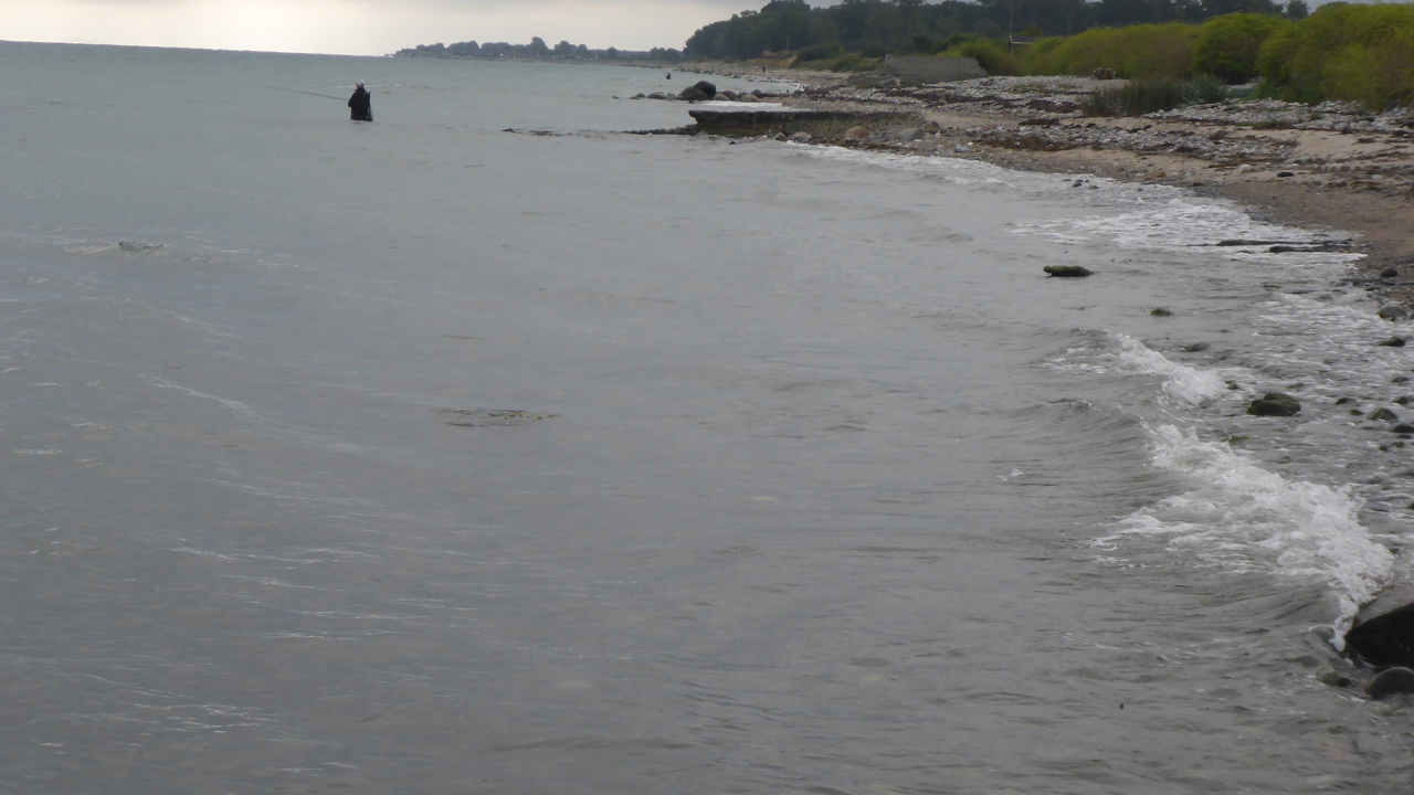 Tur til Egebjerggaard